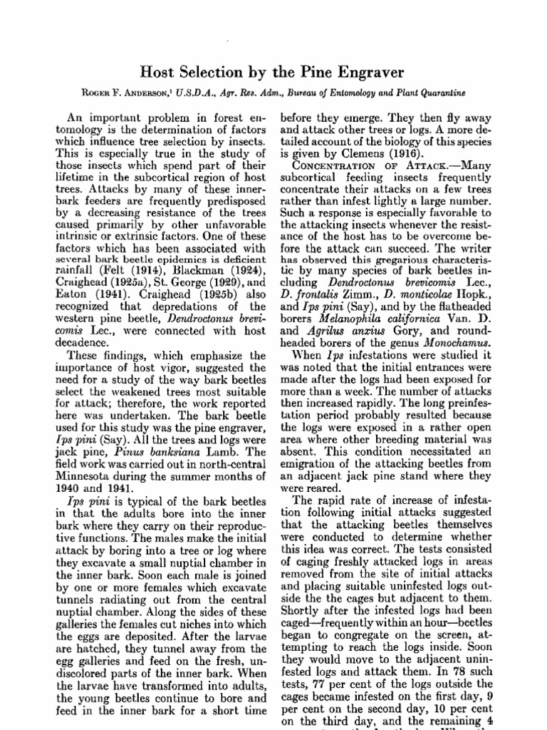 Host Selection by The Pine Engraver | PDF | Beetle | Trees