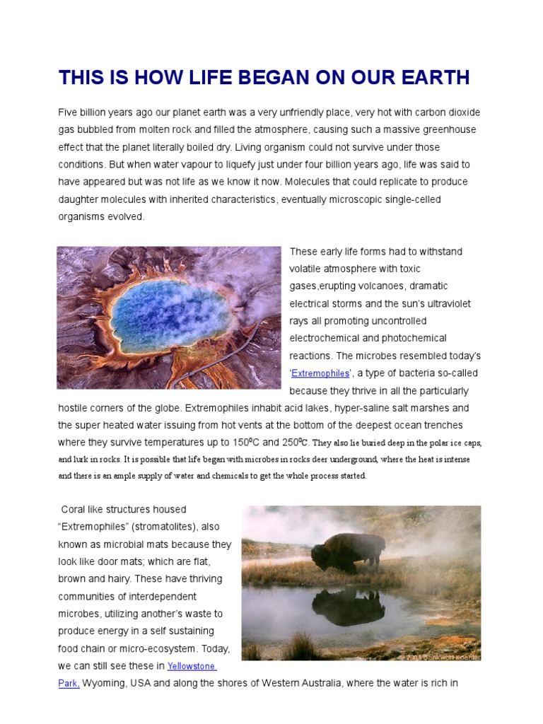 This Is How Life Began On Our Earth: Extremophiles | PDF | Bacteria ...