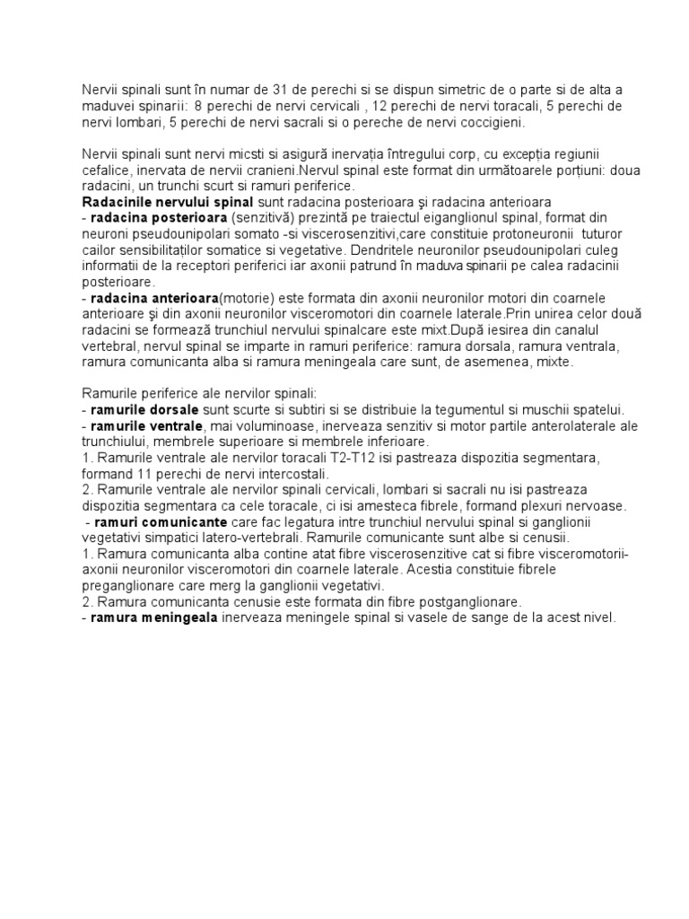 Nervul Spinal | PDF