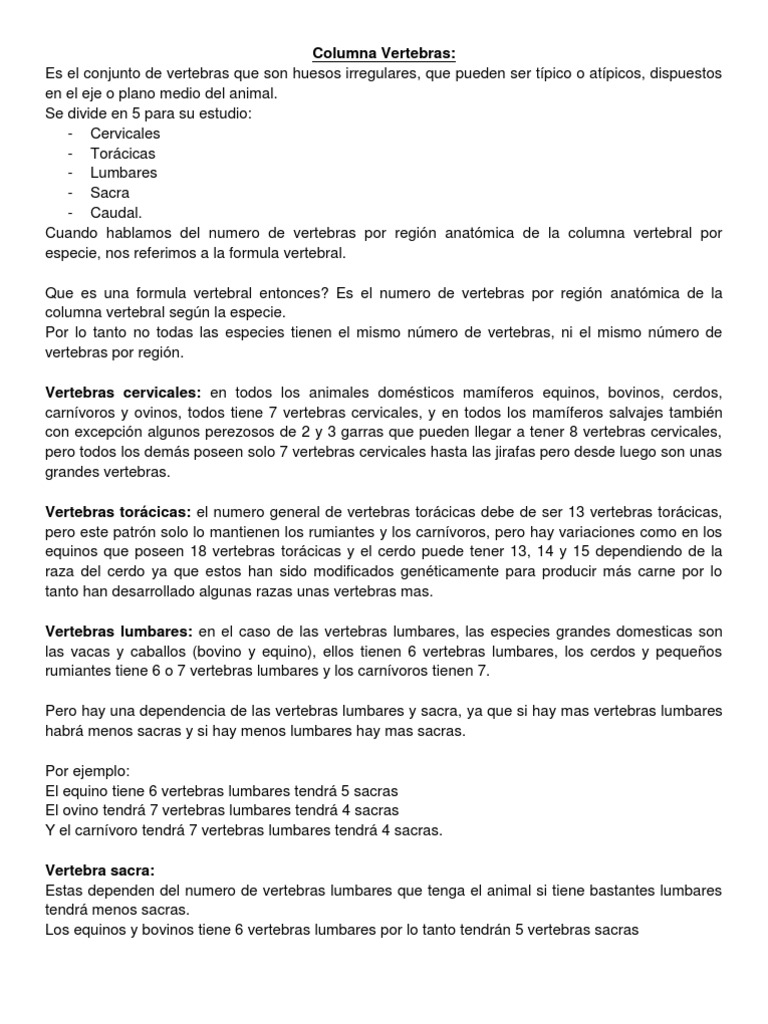 Fórmulas Vertebrales en Animales Domésticos | PDF | Vértebra | Sistema ...