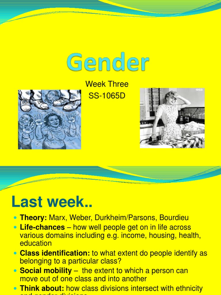 Understanding Gender Inequality: A Comprehensive Overview of Theories ...