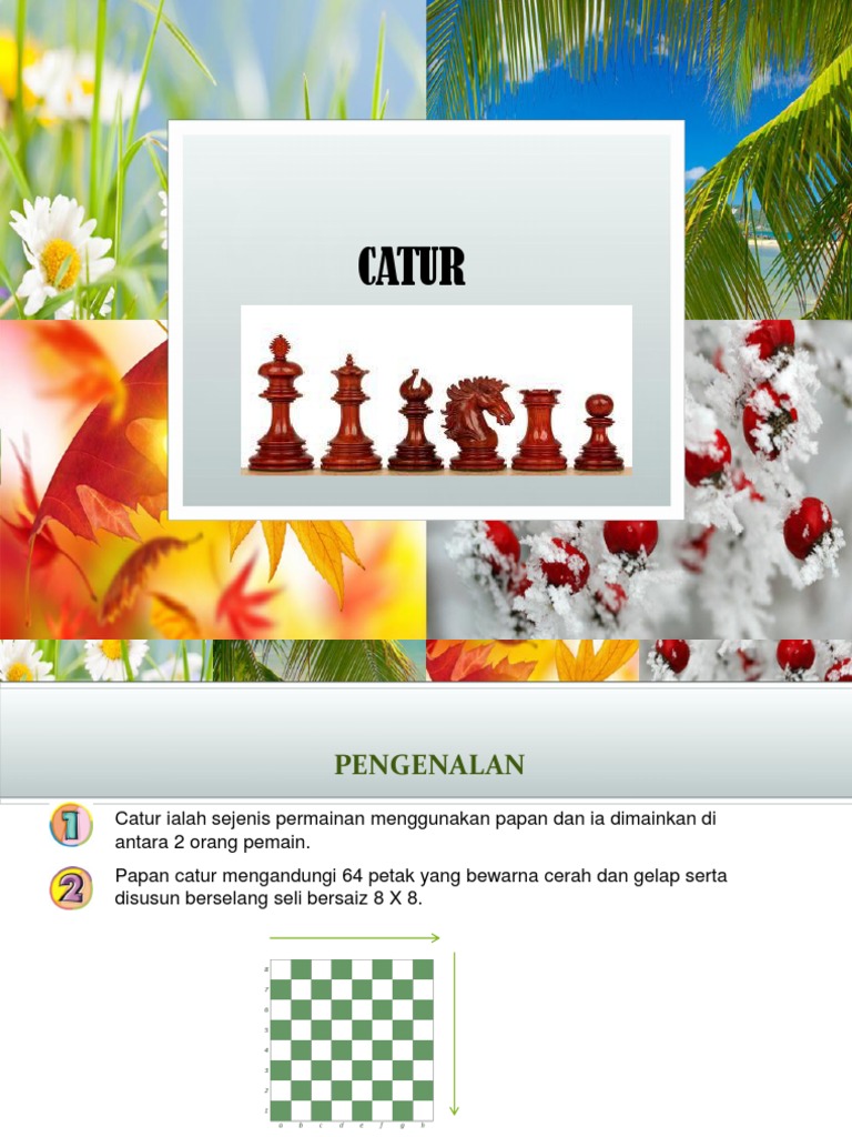 Catur | PDF