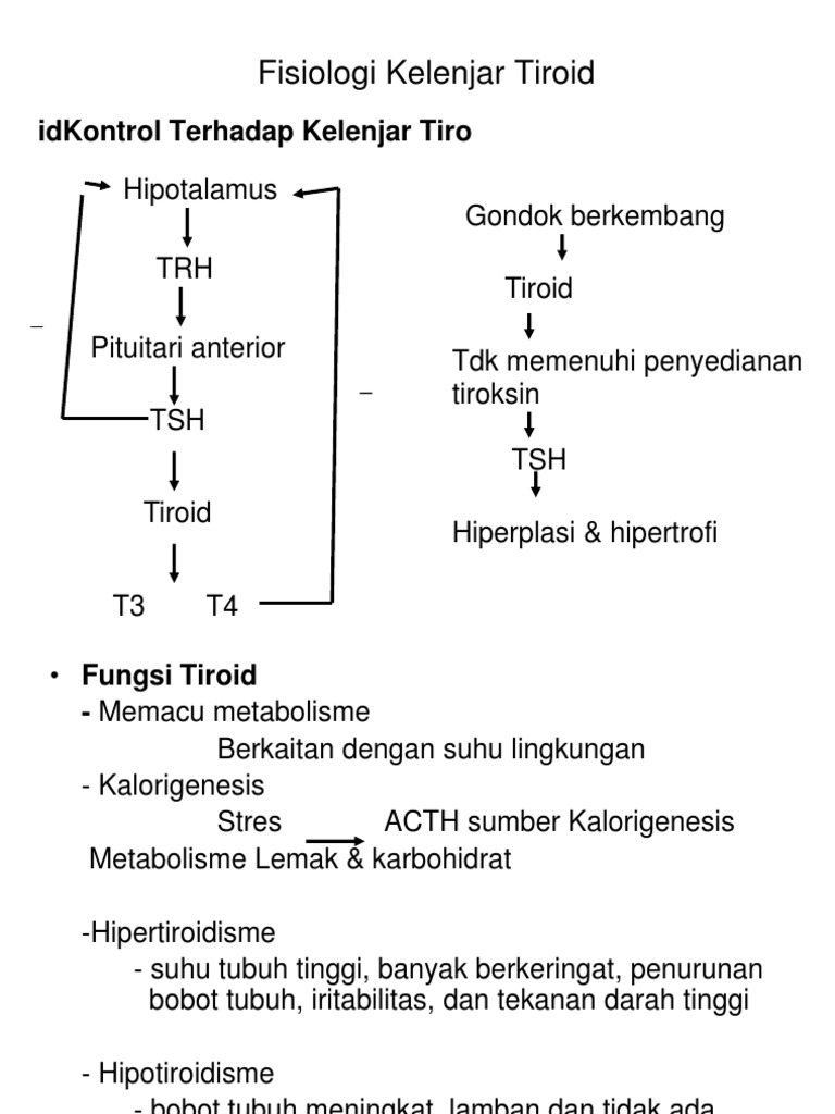 Fisiologi Kelenjar Tiroid | PDF