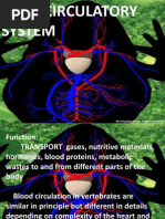 7-Internal Anatomy of Frog (Part 3) | PDF | Circulatory System | Vein