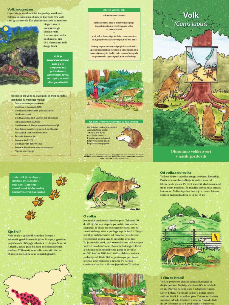 Volk (Canis Lupus) | PDF