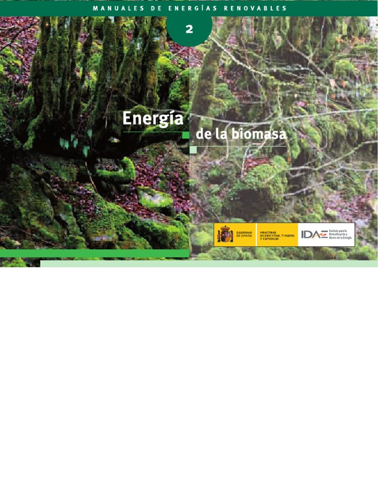 Manual Energia de La Biomasa | PDF | Biomasa | Biocombustible