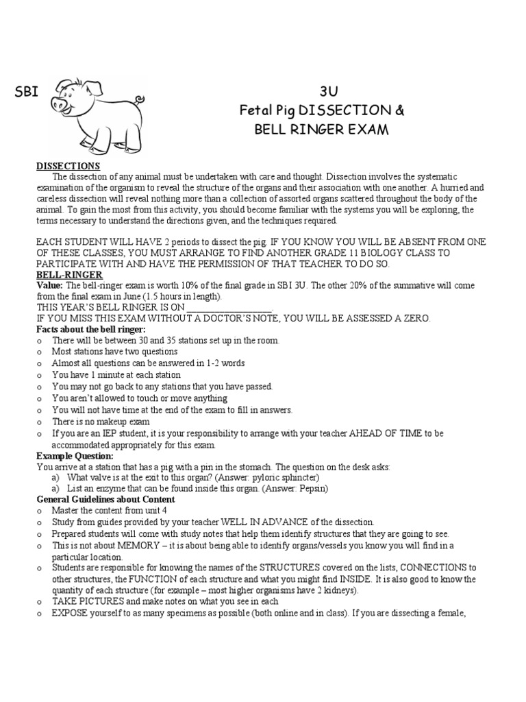 Fetal Pig Dissection & Bell Ringer Exam Guide | PDF | Test (Assessment ...
