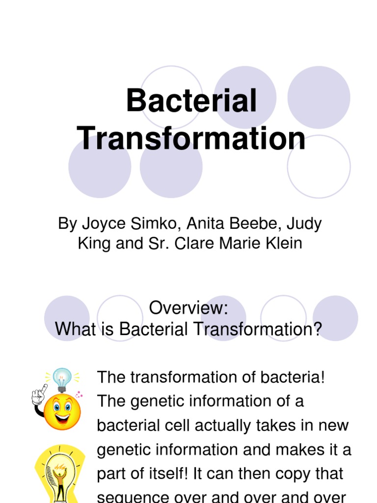 Bacterial Transformation Overview | PDF | Transformation (Genetics ...
