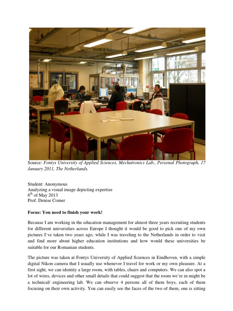 Analyzing A Visual Image | PDF | Camera | University