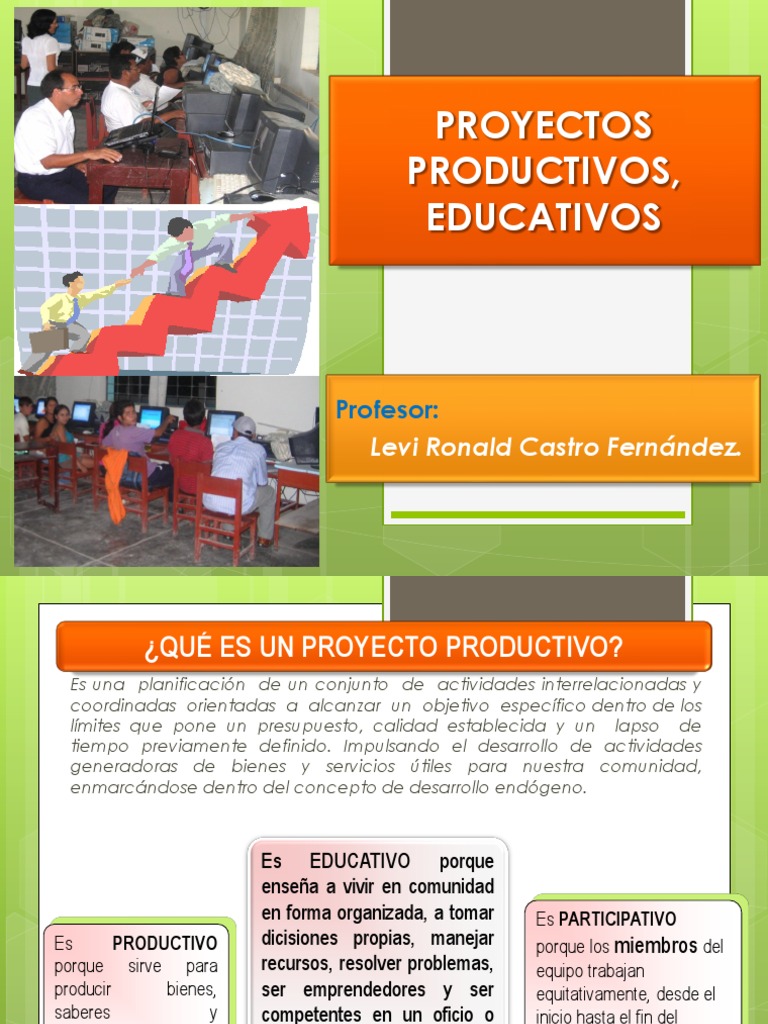 Proyectos Productivos | PDF | Presupuesto | Calidad (comercial)