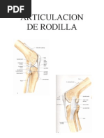 Maniobras en La Exploración de Rodilla | PDF | Mano | Sistema ...