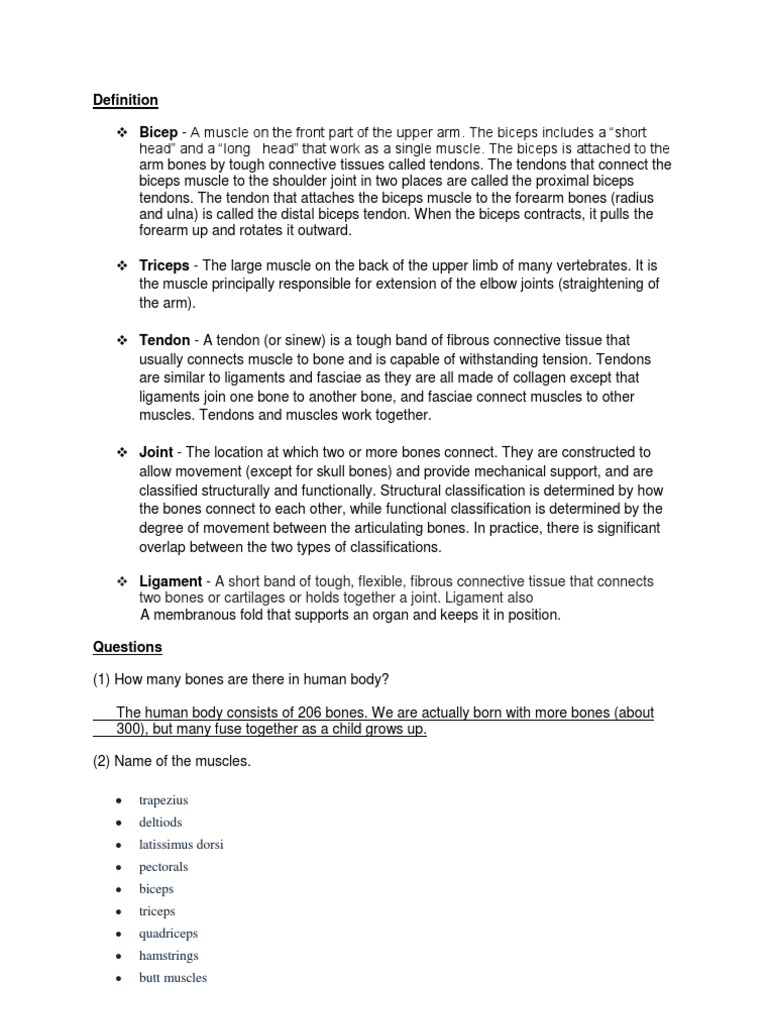 A Short Band of Tough, Flexible, Fibrous Connective Tissue That ...