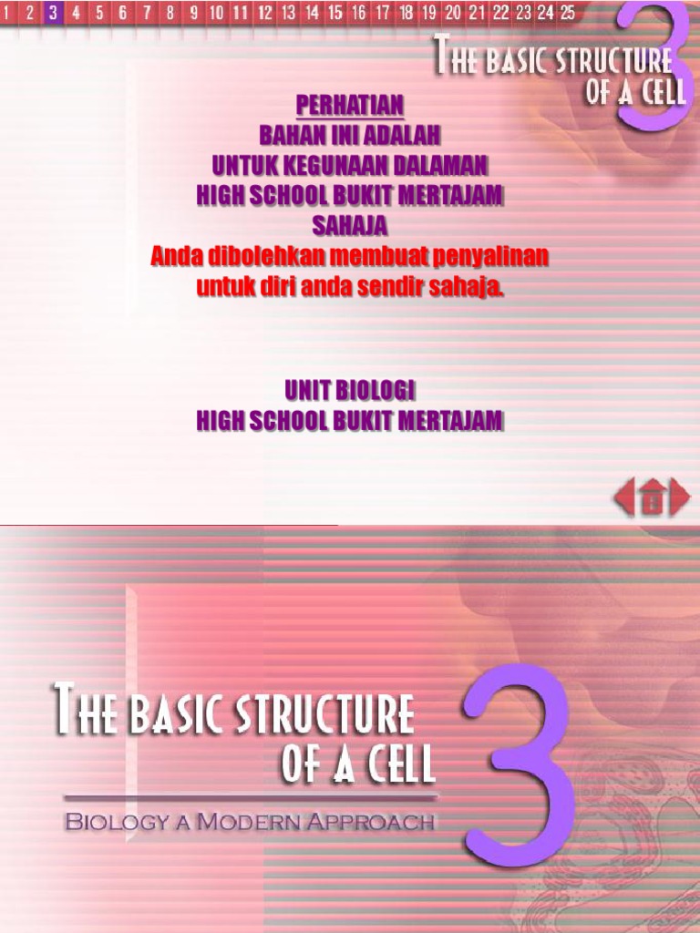 2 Cell Structures & Function | PDF | Tissue (Biology) | Vacuole
