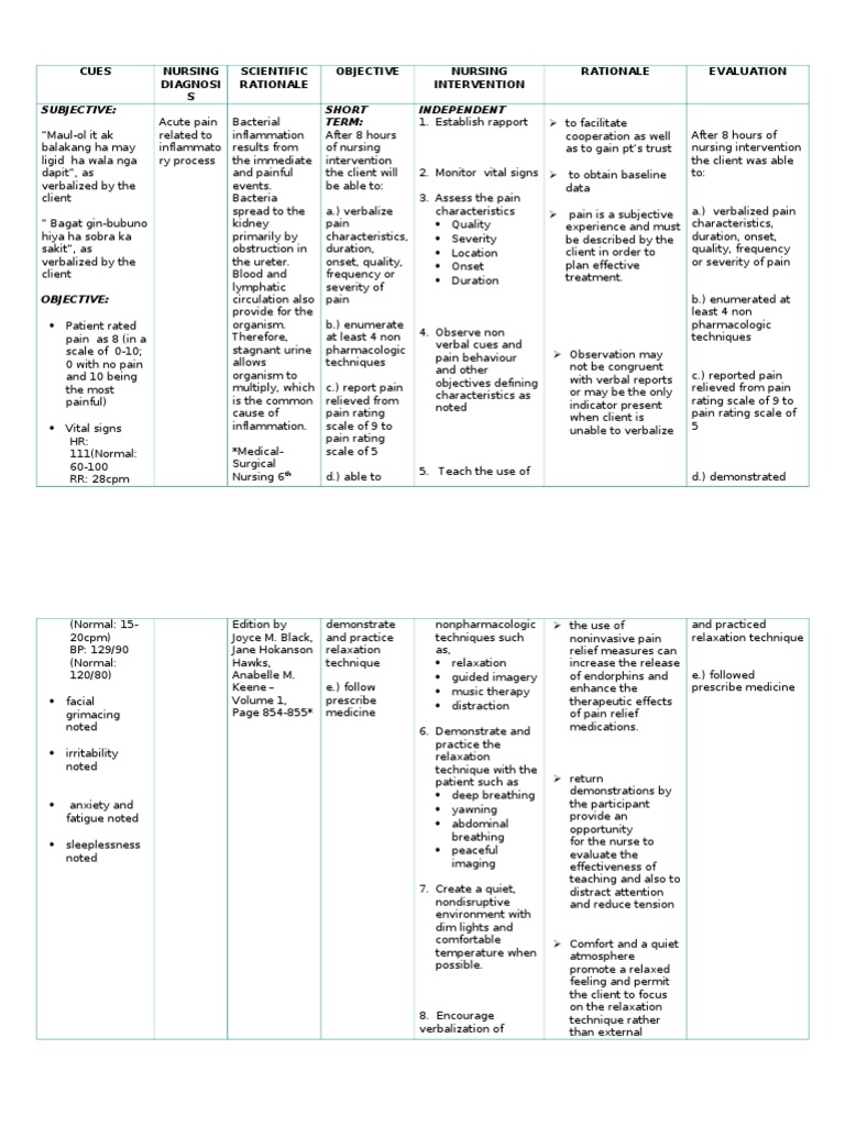 NCP | PDF | Urinary Incontinence | Fever