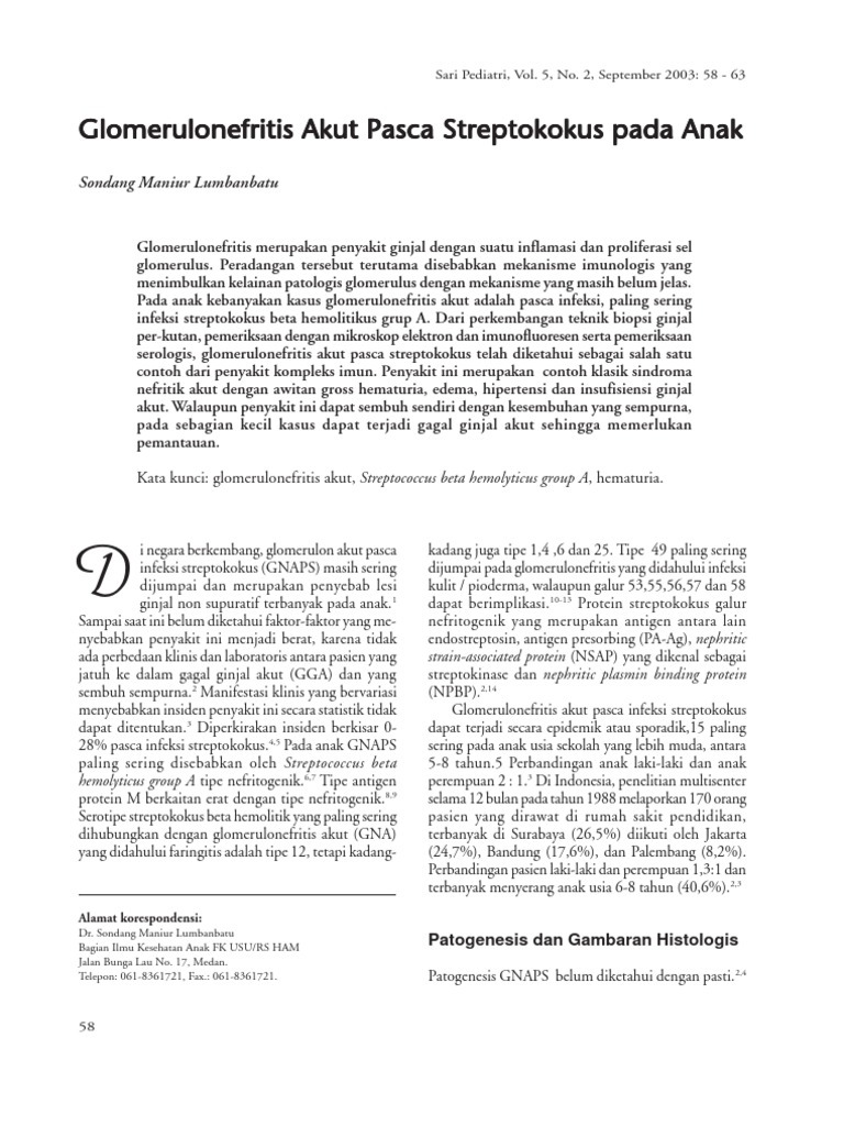 5-2-4 Gnaps Idai | PDF