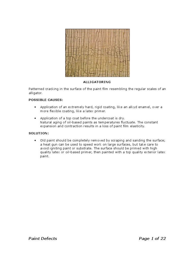 Paint Defects | PDF | Paint | Acrylic Paint