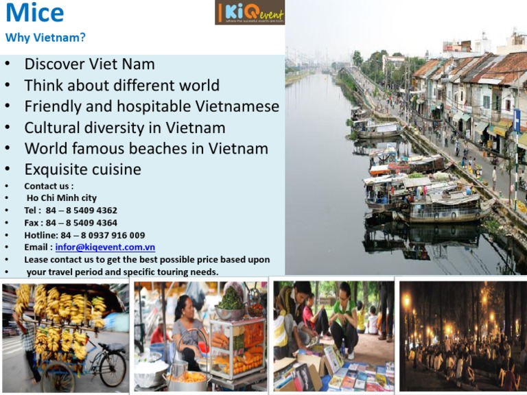 Mice Vietnam | PDF | Vietnam | Guerrilla Wars