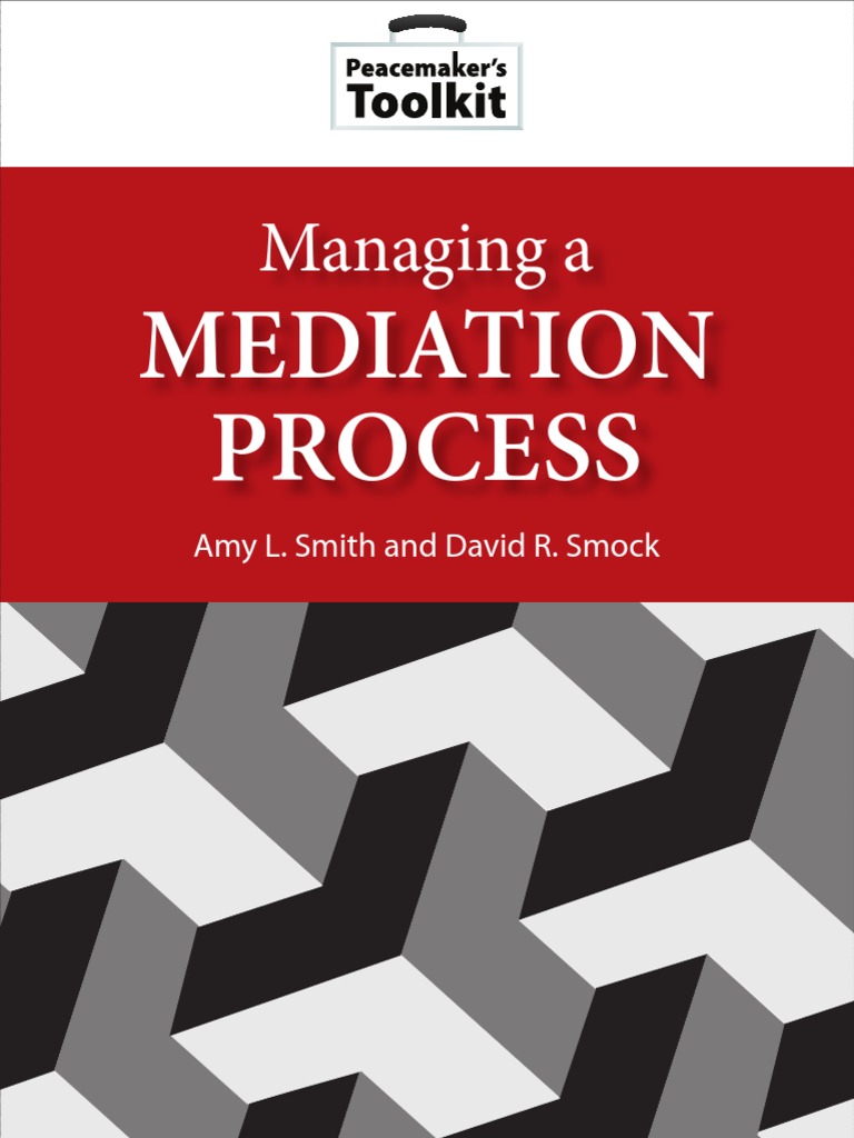 Managing A MEDIATION PROCESS | PDF