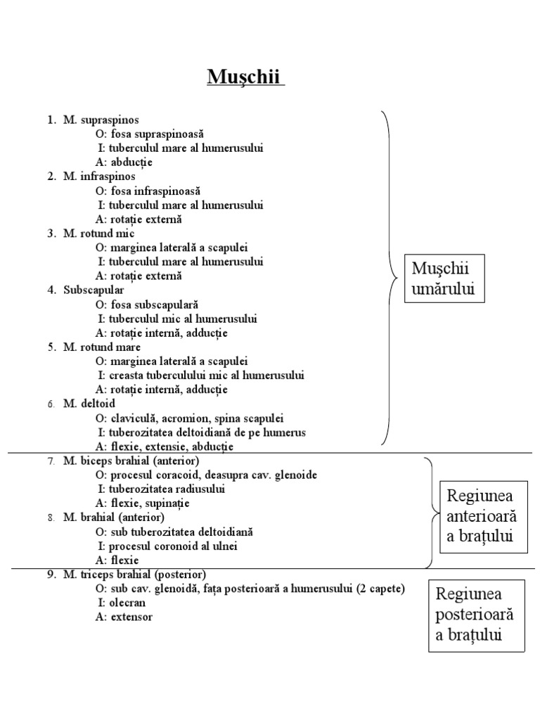 Muschii | PDF
