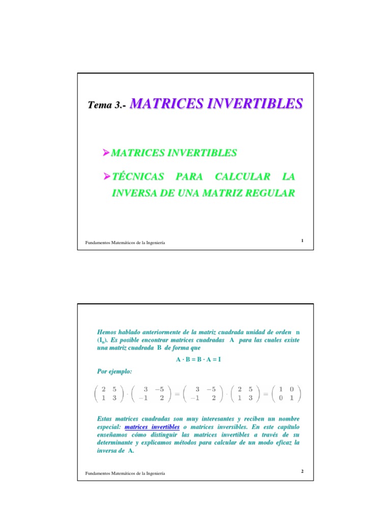 Matrices Regulares Invertibles | PDF | Matriz (Matemáticas) | Espacio ...