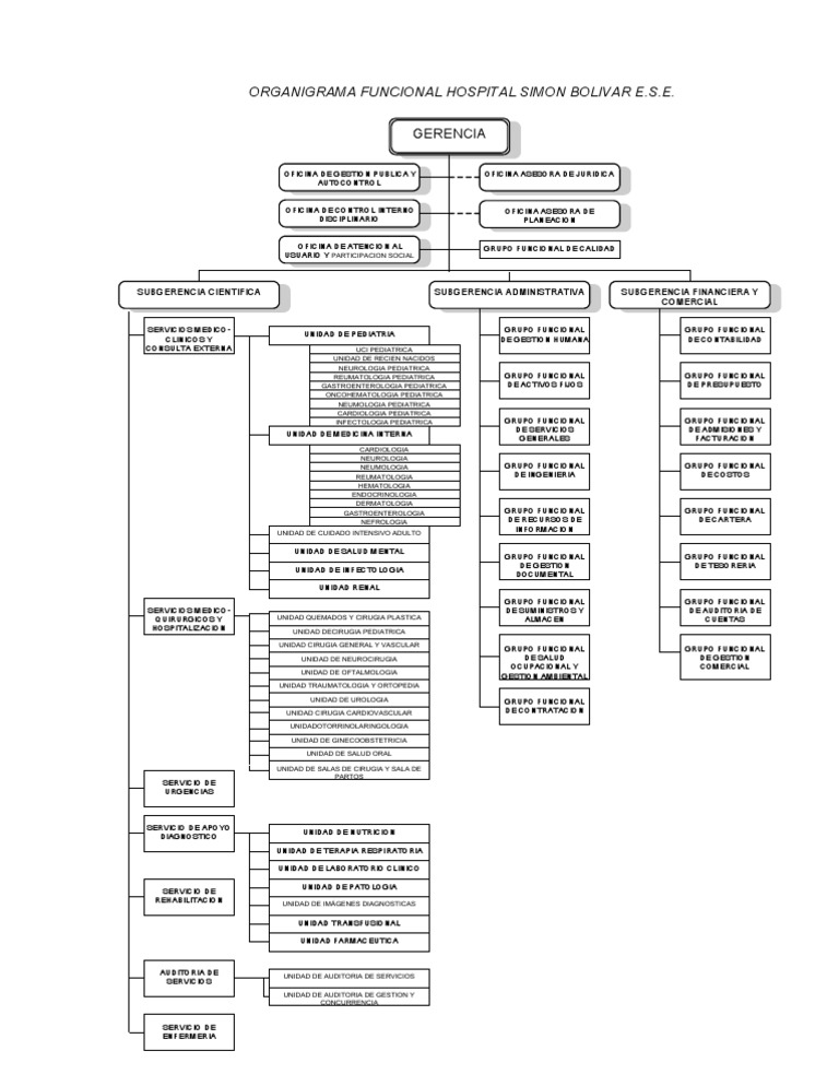 Organigrama Funcional | PDF