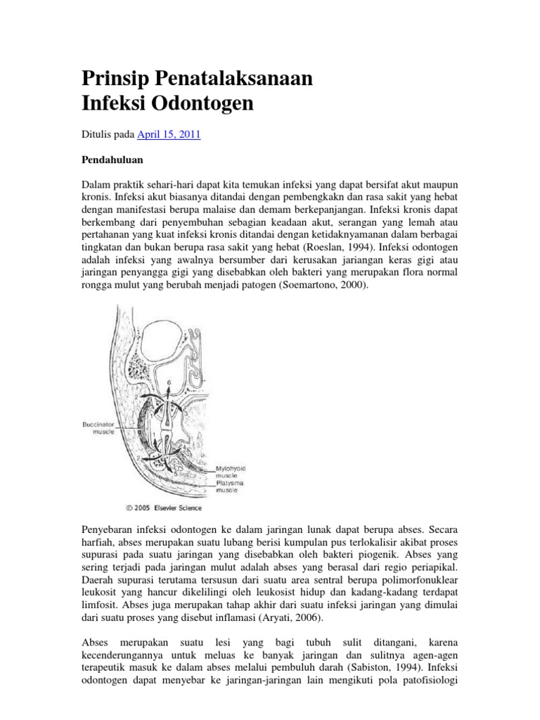 Infeksi Odontogenik | PDF