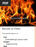 Basic Fire Fighting Training | PDF | Fires | Firefighting