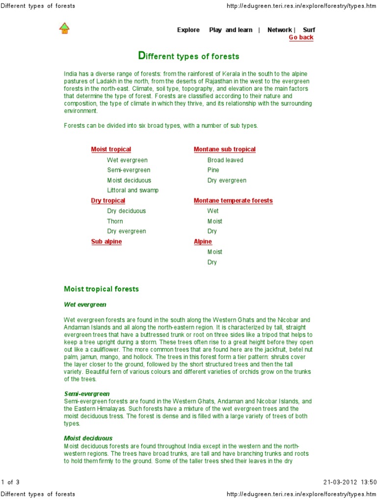 Different Types of Forests | PDF | Trees | Forests