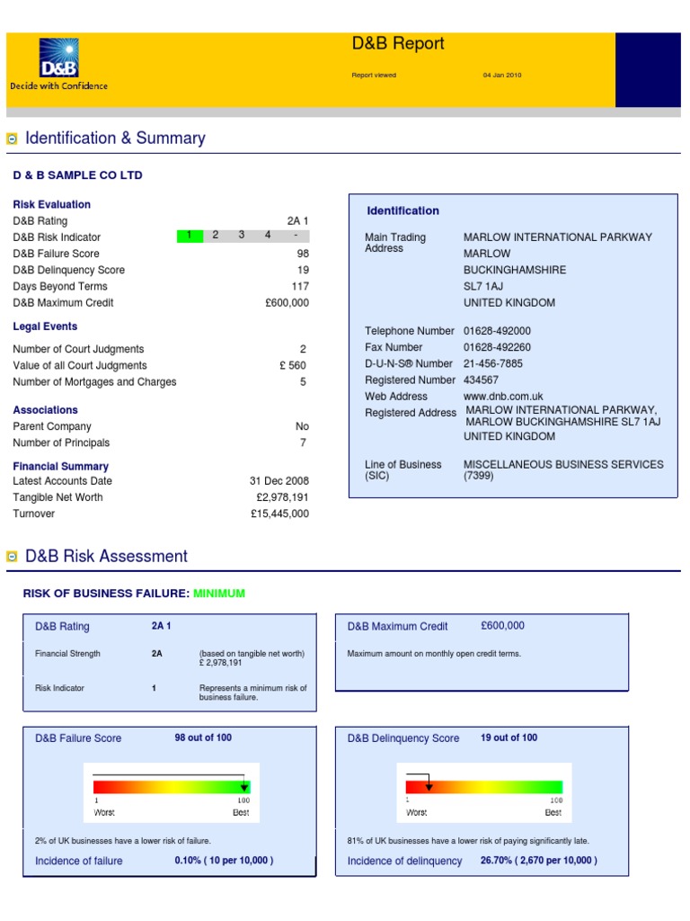 Identification & Summary: D&B Report | PDF | Current Liability | Equity ...