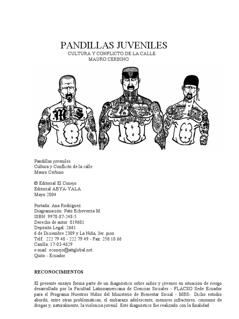Pandillas Juveniles | PDF | Etnografía | Juventud