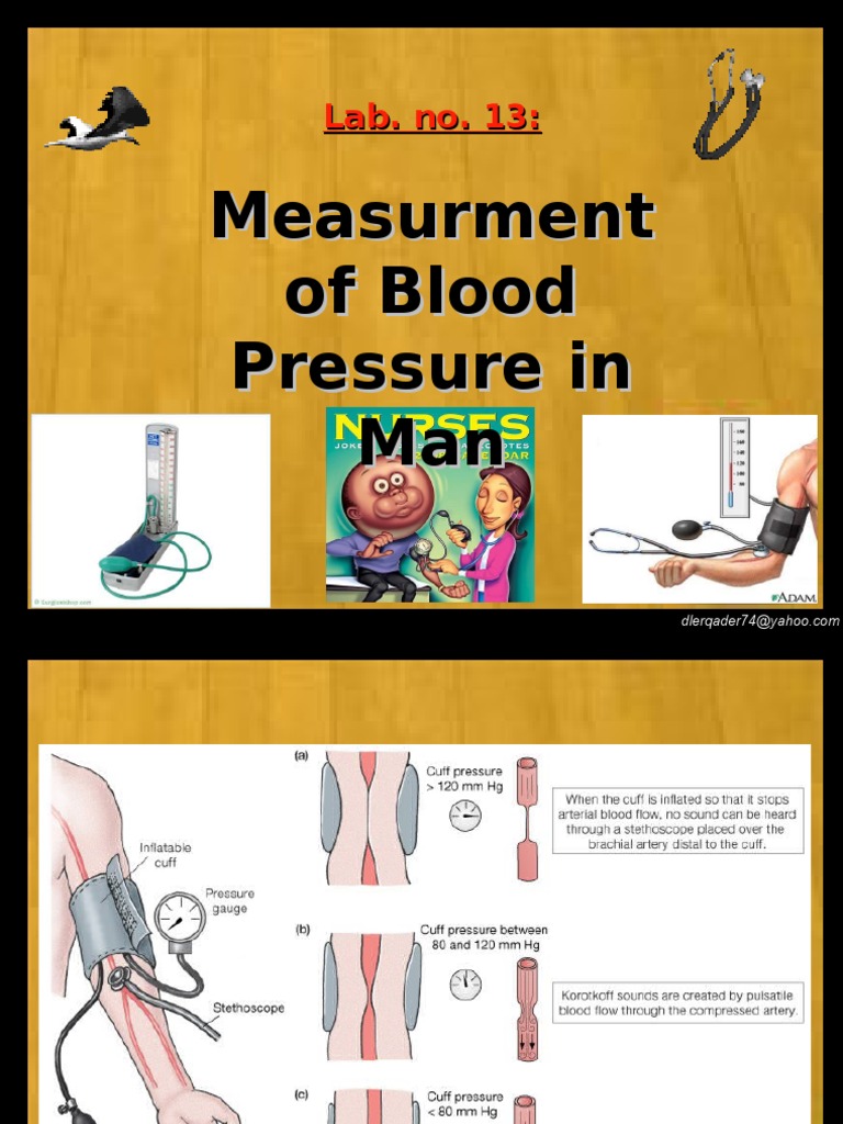 Blood Pressure Measurement Methods | PDF | Cardiovascular Physiology ...