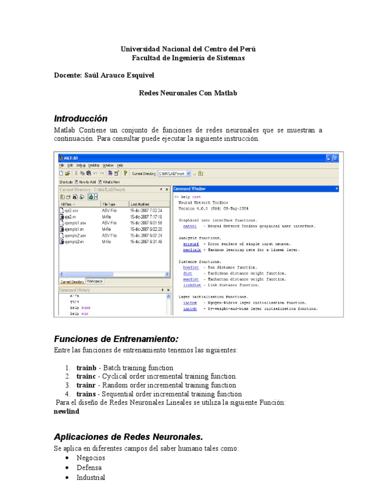 Redes Neuronales Con Matlab | PDF | Red neuronal artificial | Neurona