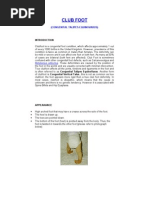 Astm f2413 | PDF | Safety | Specification (Technical Standard)