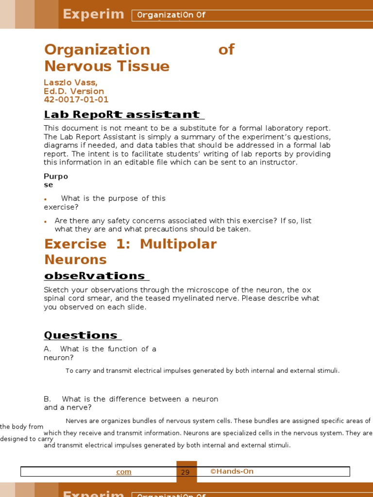 Lab 10 - Organization of Nervous Tissue | PDF | Nerve | Nervous System
