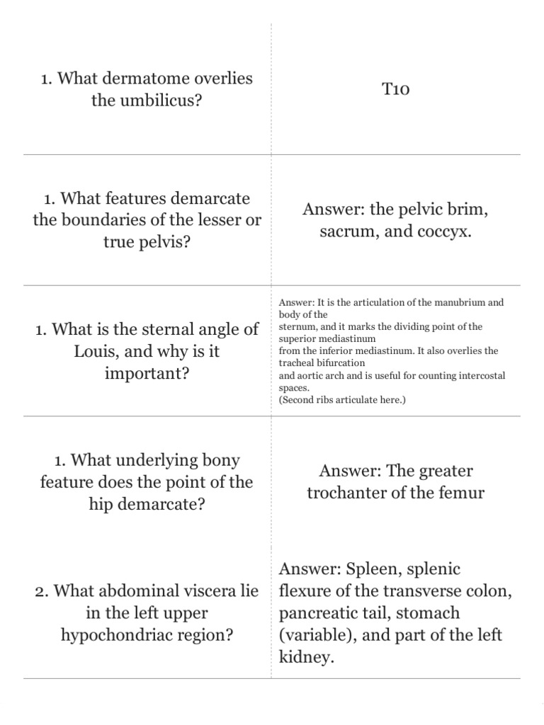 USMLE Anatomy Review | PDF | Aorta | Pelvis