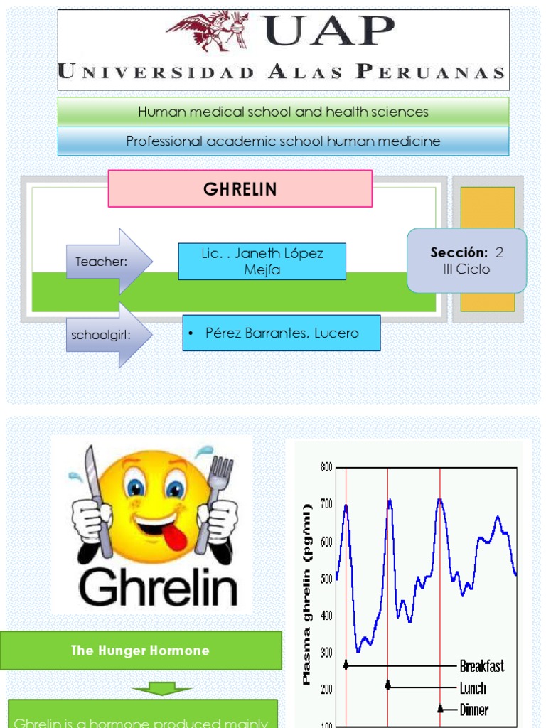 Ghrelin: The Hunger Hormone Explained | PDF