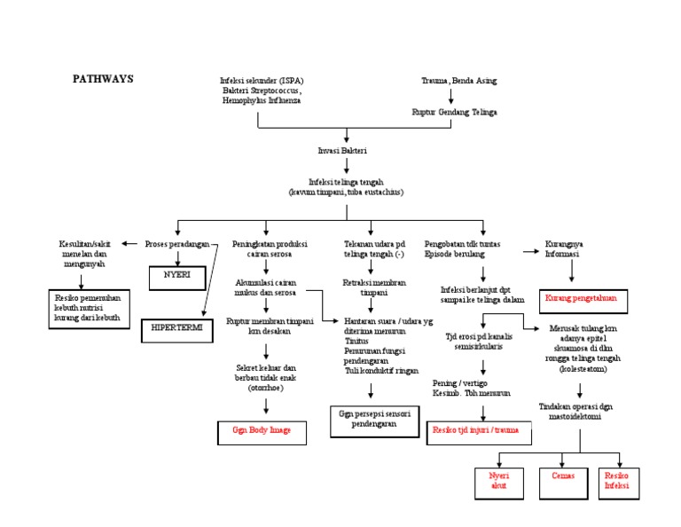 Pathway Otitis Media | PDF