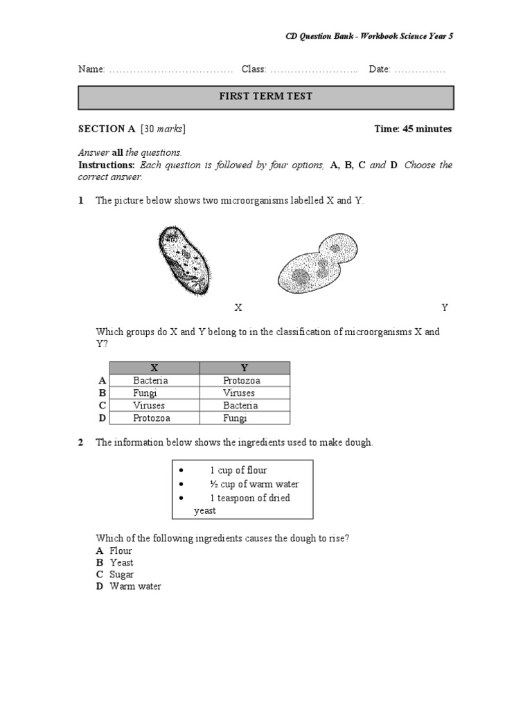 First Term Test 1 | PDF | Microorganism | Seed