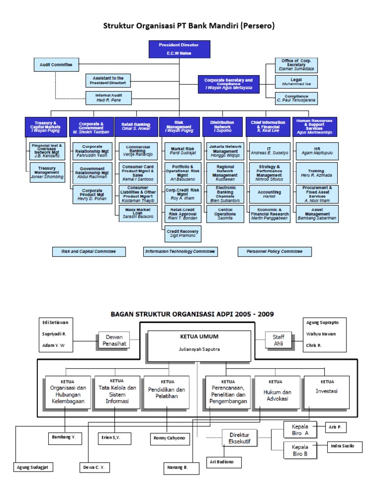 Struktur Organisasi (PTI) | PDF