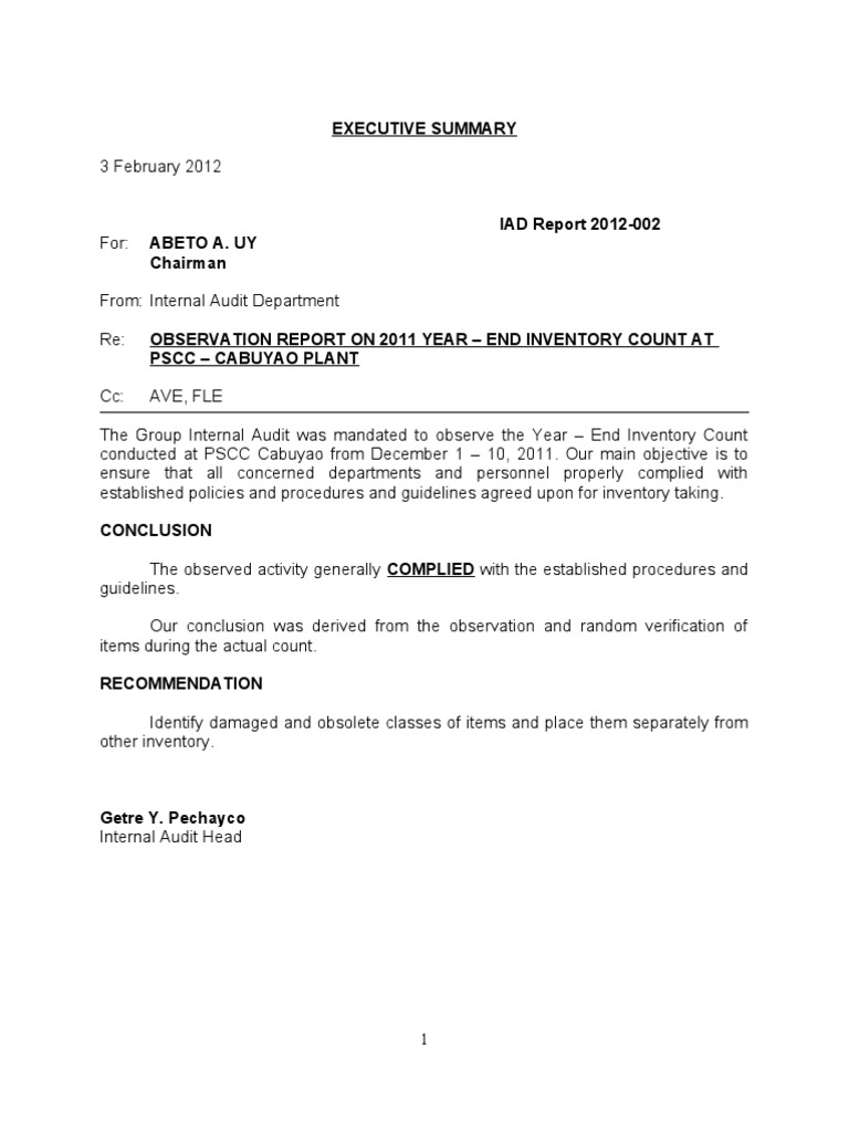 2011 Inventory Audit Report Summary | PDF