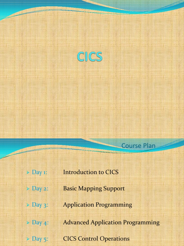 Cics Pdf Parameter Computer Programming Computer Programming