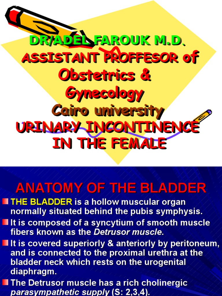Bonney's Test in Female Incontinence | PDF | Urinary Incontinence ...