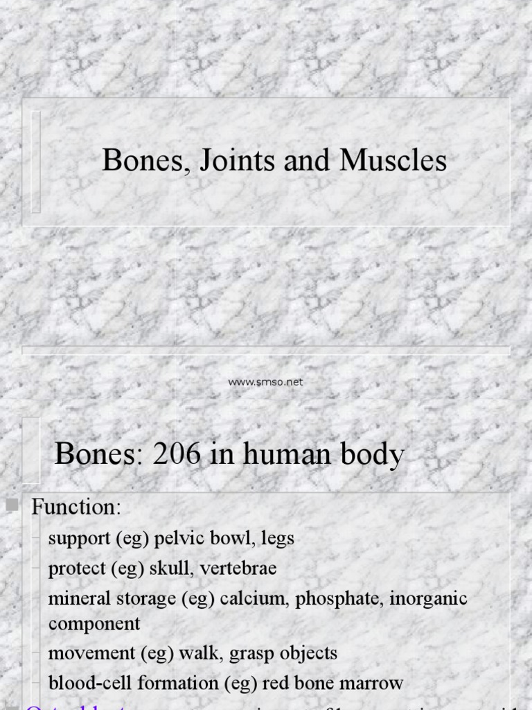 Bones, Joints, Muscles | PDF | Bone | Anatomical Terms Of Motion