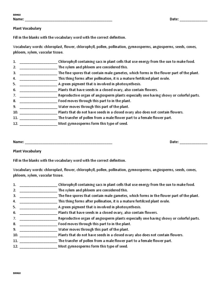 Bell Ringer Plant Vocabulary | PDF | Plants | Flowers