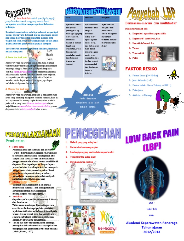 Nj. Leaflet Low Back Pain | PDF