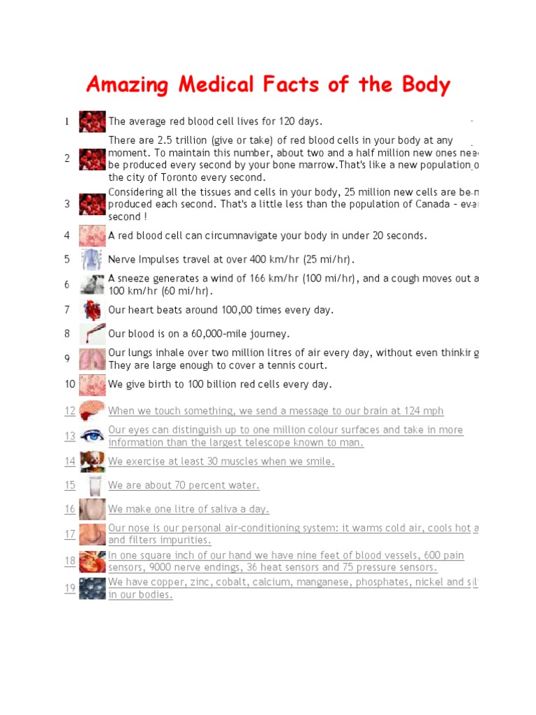 Fascinating Human Body Facts | PDF | Blood | Heart