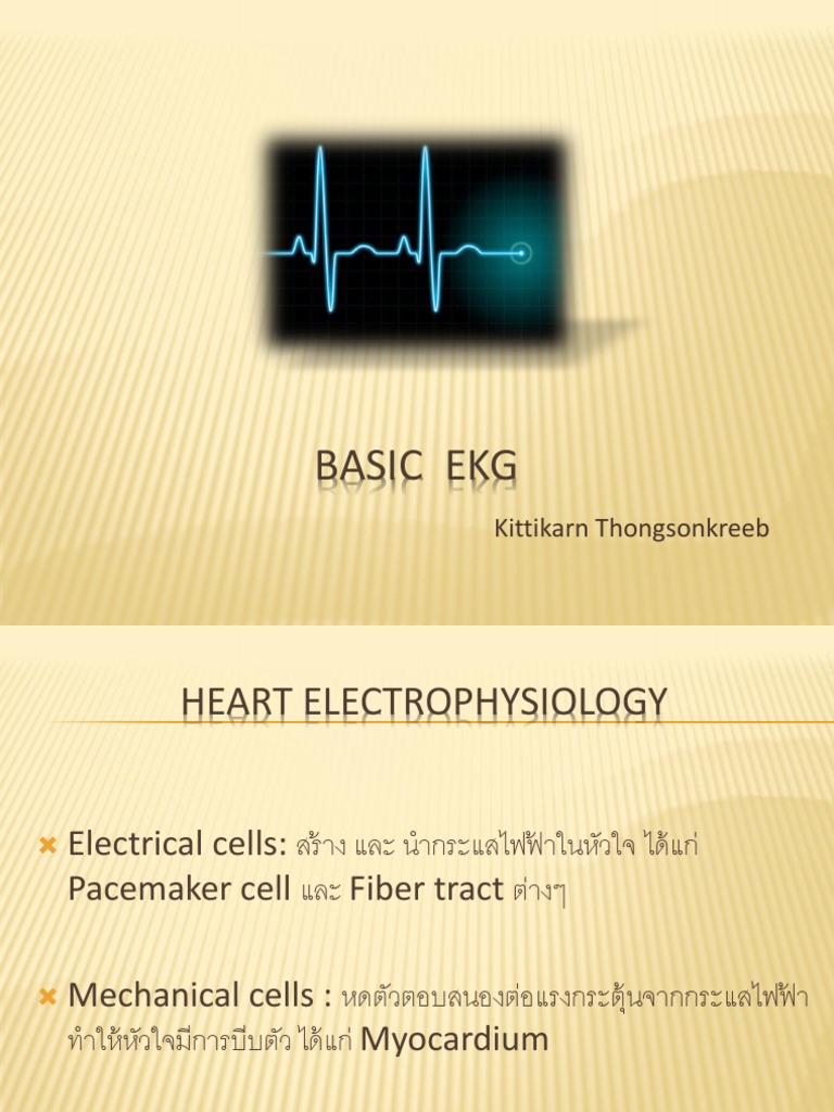Basic Ekg Pdf