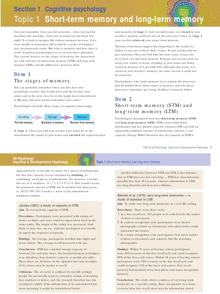 Short and Long Term Memory | PDF | Recall (Memory) | Memory