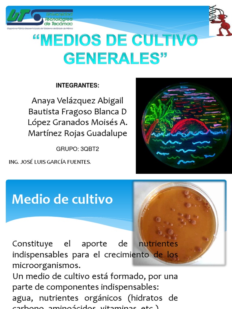 Medios de Cultivo Generales | Carne | Microbiología