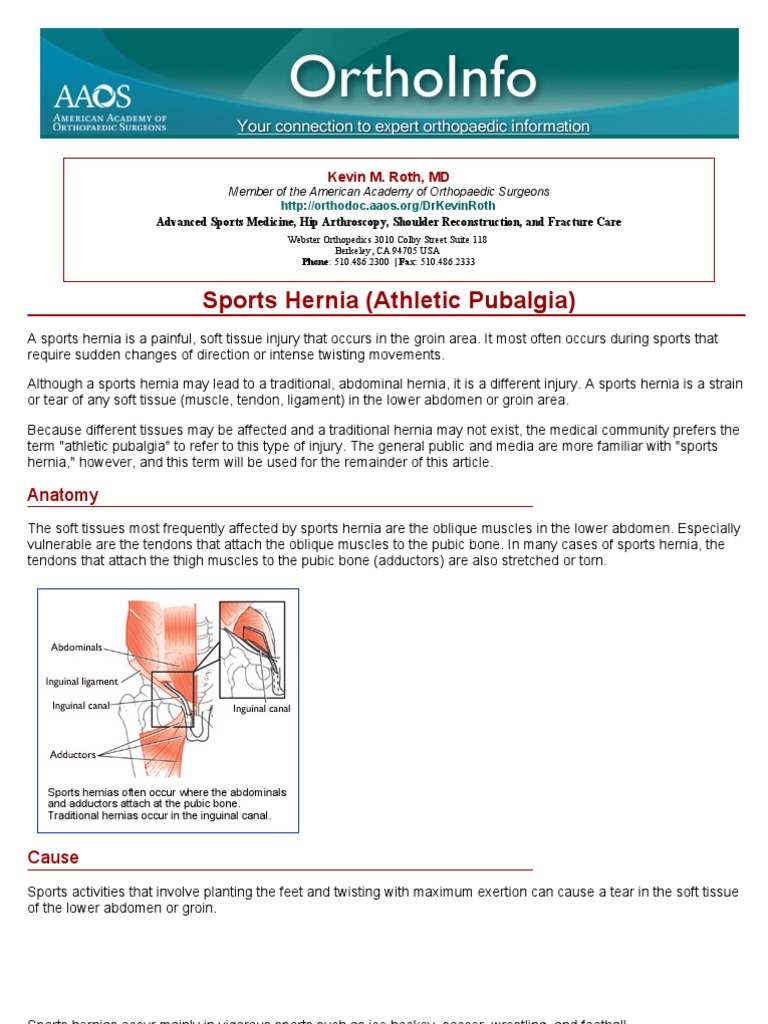 Sports Hernia Athletic Pubalgia-Orthoinfo - Aaos | PDF | Surgery | Abdomen